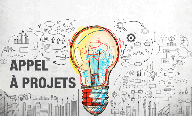 PROGRAMME DEPARTEMENTAL D INSERTION. Lever les freins à l insertion et ...